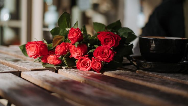 Homemade Liquid Fertilizer for Valentine’s Day Roses – Little Garden Tips