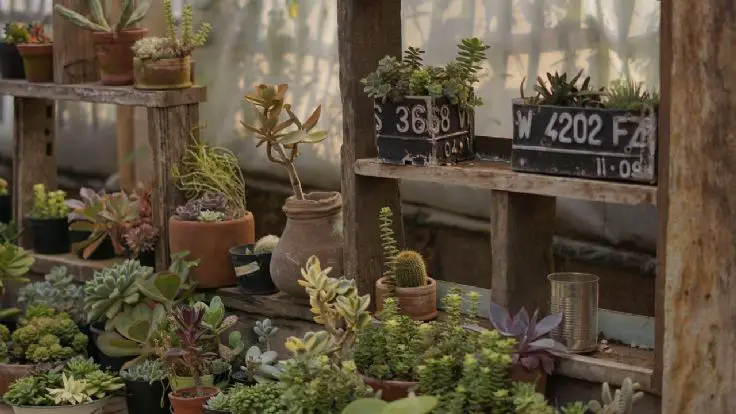 Choosing the Best Pots for Your Home Garden: A Guide to Different Types ...