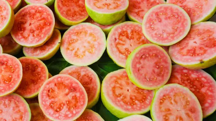 How to Germinate Guava Seeds and Grow Your Own Plant – Little Garden Tips