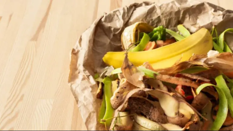 Step-by-Step Guide to Creating Organic Compost with Banana and Egg ...