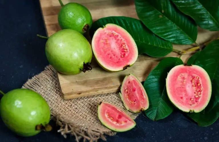 Guava Tree in a Pot: Tips for Growing and Getting Fruit Quickly ...