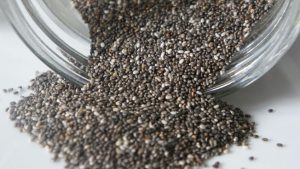 How to Grow Your Own Chia at Home: A Simple Guide 🌱 – Little Garden Tips